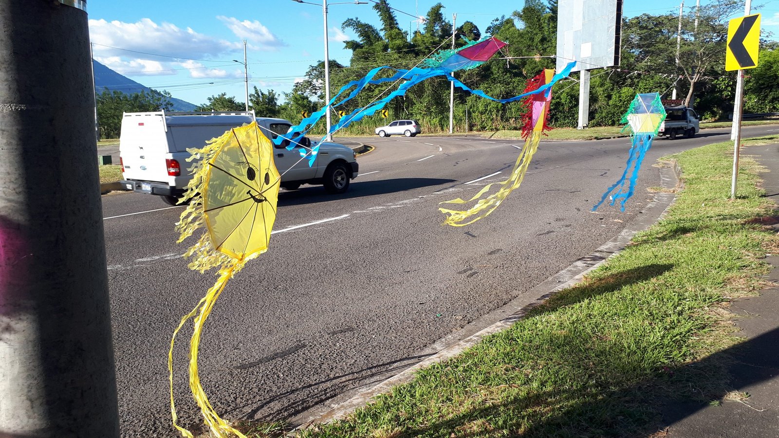 Llegan las tradicionales piscuchas junto a la temporada de vientos en ...