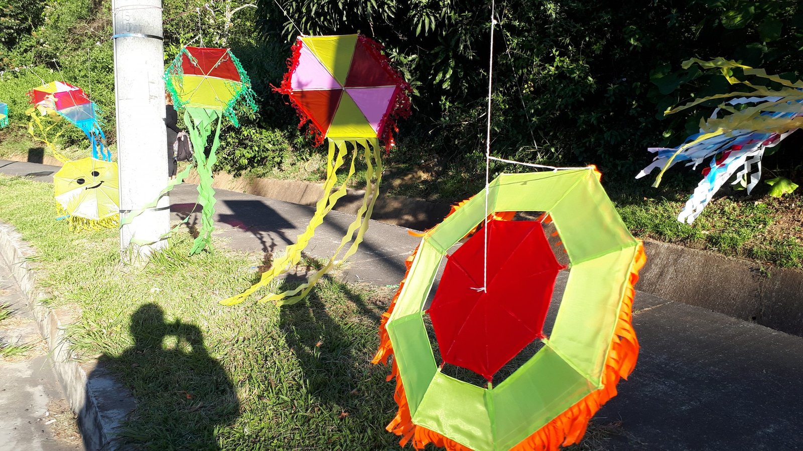 Llegan las tradicionales piscuchas junto a la temporada de vientos en ...