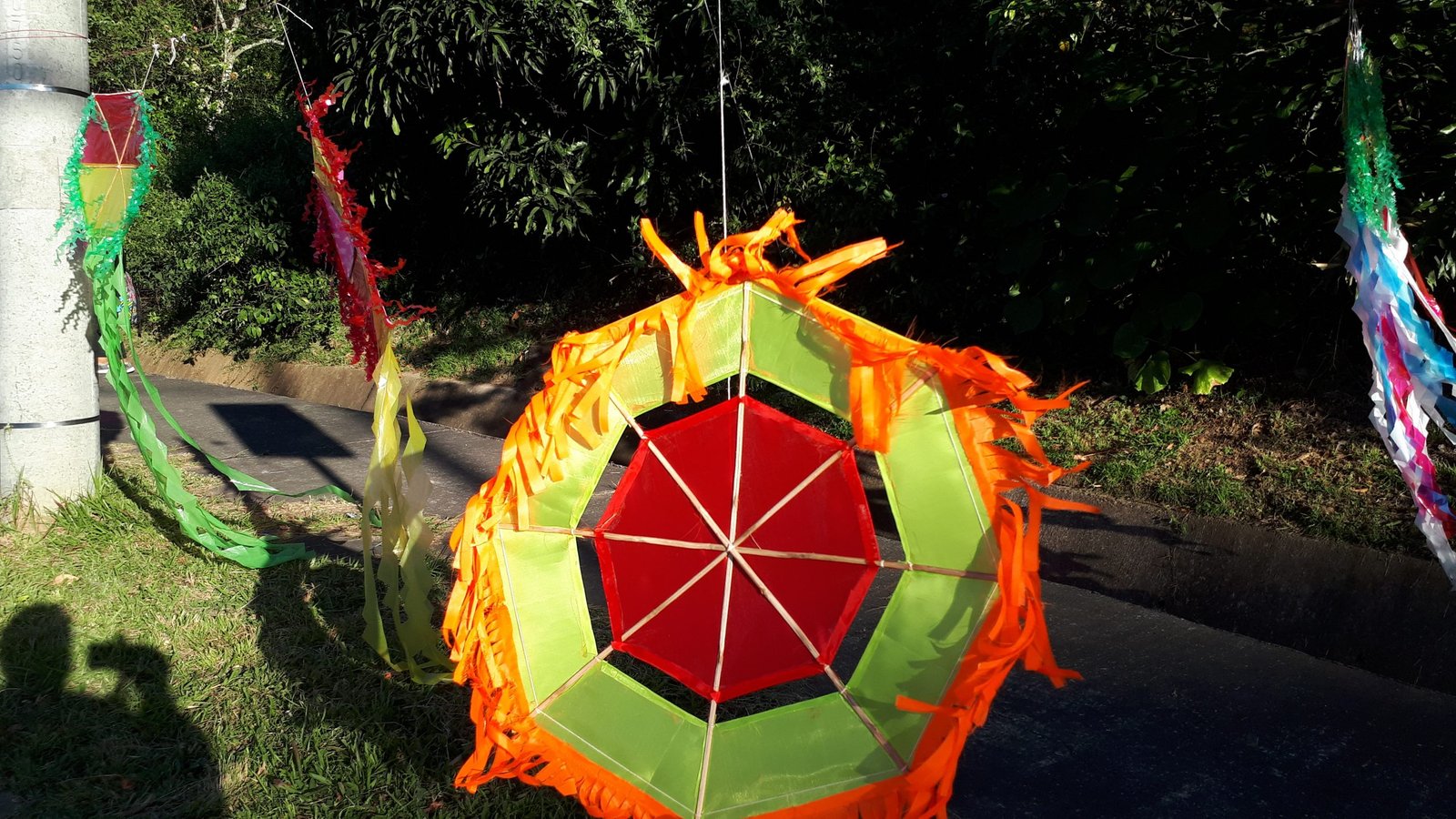 Llegan las tradicionales piscuchas junto a la temporada de vientos en ...