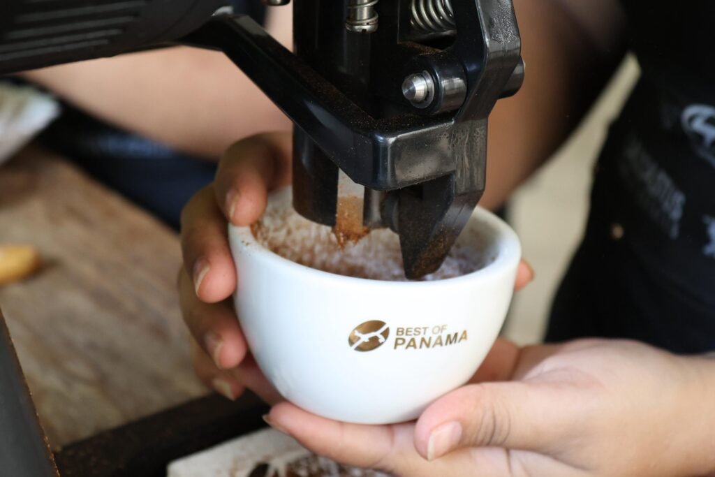 Café panameño impone nuevo récord de US$30,204 por kilogramo | VDN